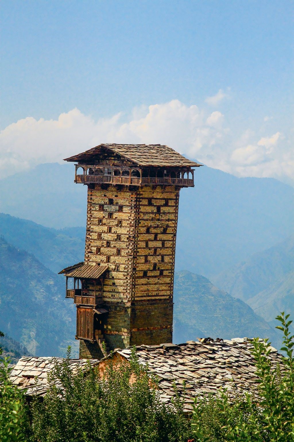 Unraveling the Unexplored & Breathtaking Roads of 'Jibhi' : Namaste ...