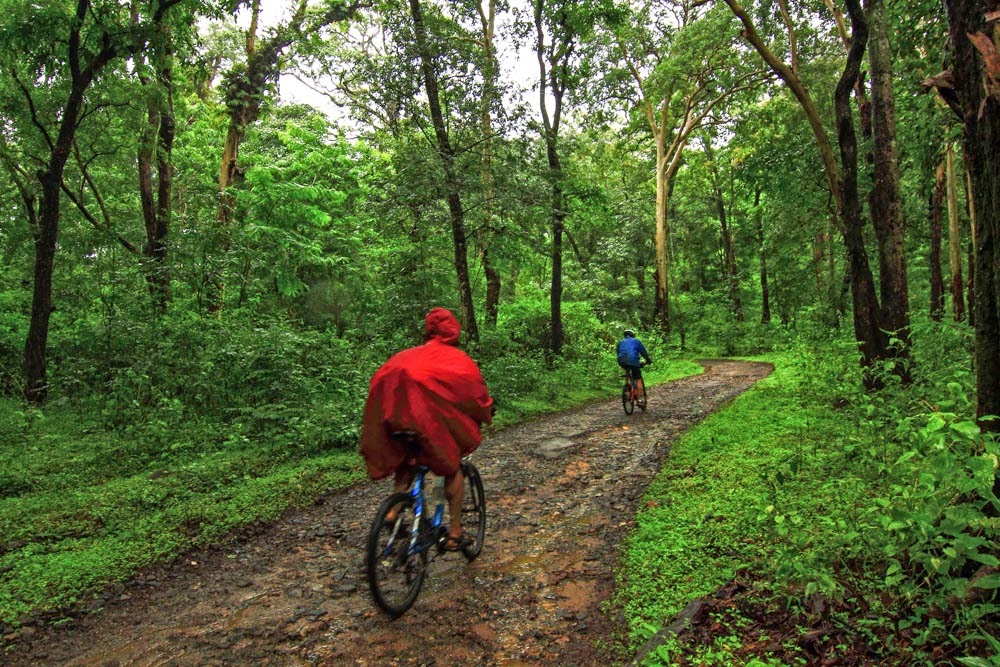 How To Reach Coorg Namaste Gozo Cabs Journey Across India