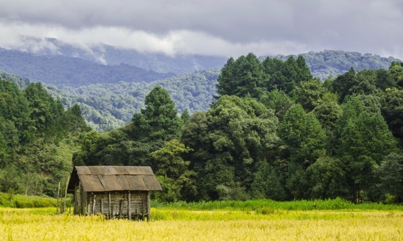 Easy ways to reach Ziro : Namaste! | Gozo cabs journey across India